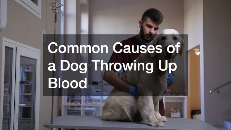 Dog Throwing Up Blood? Causes & What to Do | Pet Health Guide
